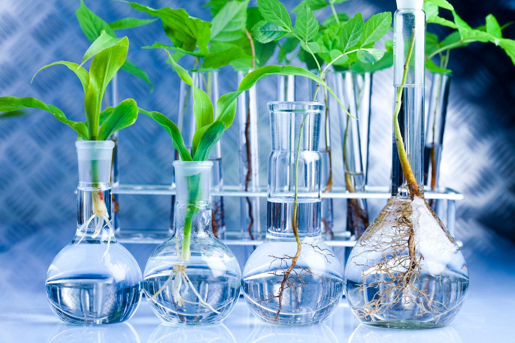 The Fascinating World Of Genetics And Genomics - Public Hub