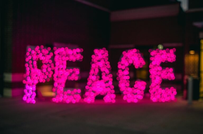 The role of international organizations in promoting peace and global ...
