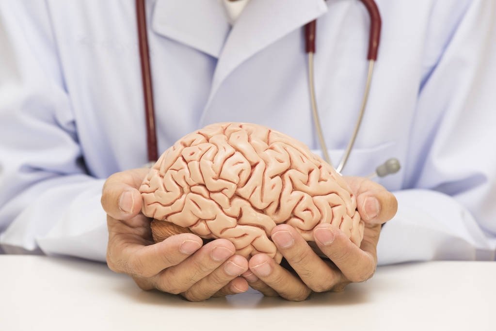Computational Neuroscience - Public Hub