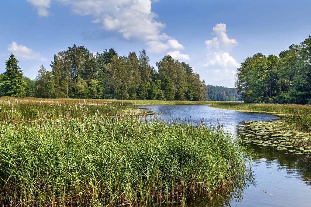 Top 10 Attractions To Visit In Lithuania: From Curonian Spit To Hill Of ...